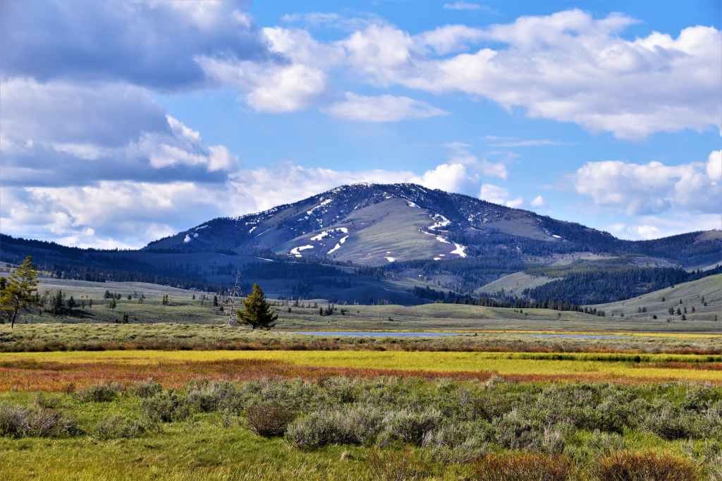 From My Journal (5/17) | Big Sky Buckeye