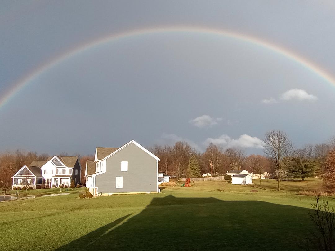 Buckeye Photo Gallery #1 | Big Sky Buckeye