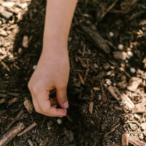 David Jeremiah Quote | Big Sky Buckeye