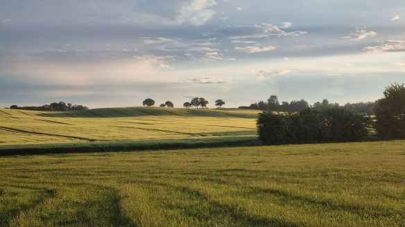 Breathless Tranquility | Big Sky Buckeye