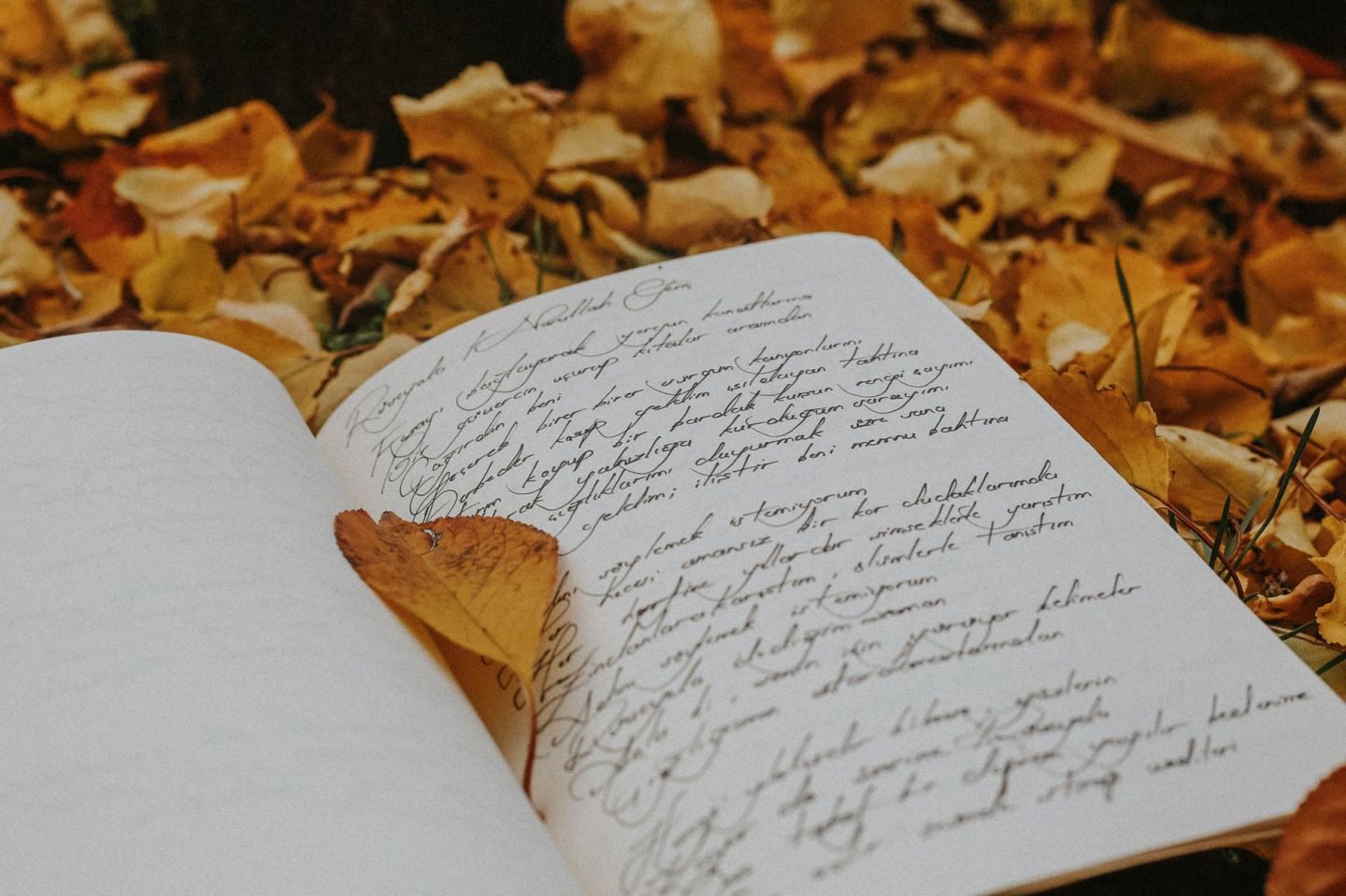 Thomas Carlyle Quotes | Big Sky Buckeye